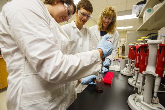 Viterbo University - Wisconsin Private Colleges